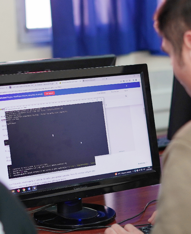 Técnico Analista Programador - IPCHILE